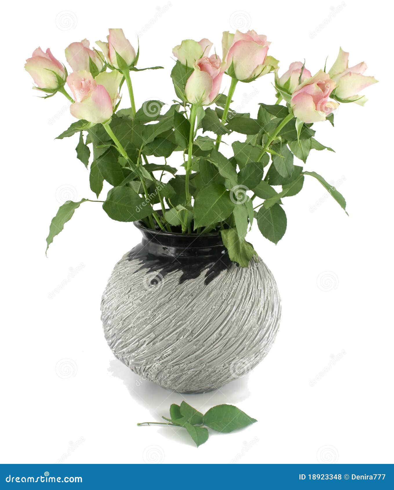 Pink roses in a vase. stock photo. Image of bright, background - 18923348