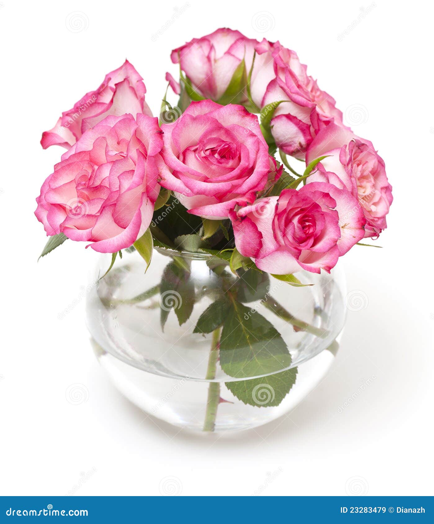 Pink roses in vase stock image. Image of beautiful, marriage - 23283479
