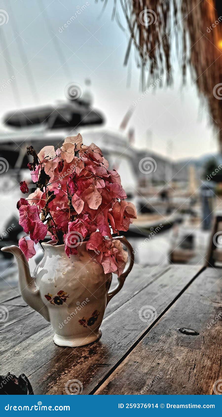 Pink roses in the vase stock photo. Image of vintage - 259376914