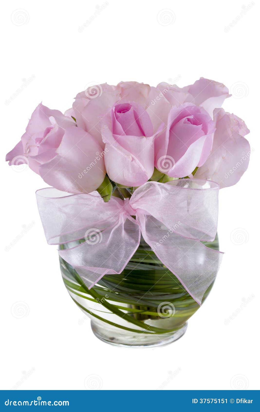 Pink Roses in a Vase stock image. Image of vase, romance - 37575151