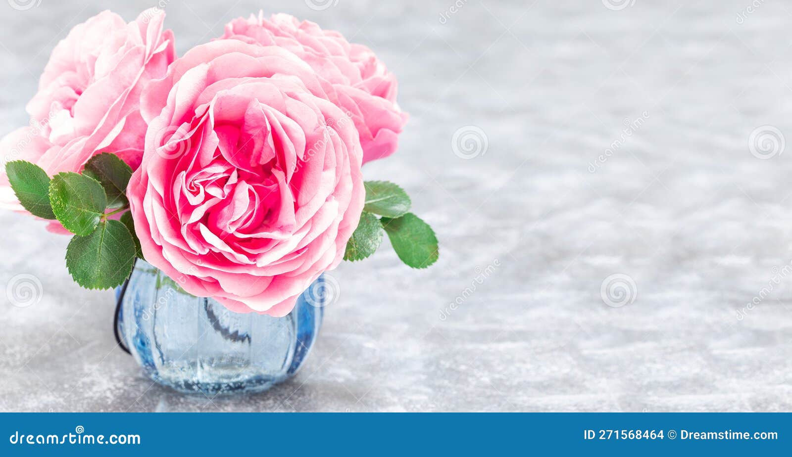 Pink Roses in Vase on Gray Background, Horizontal, Copy Space Stock ...