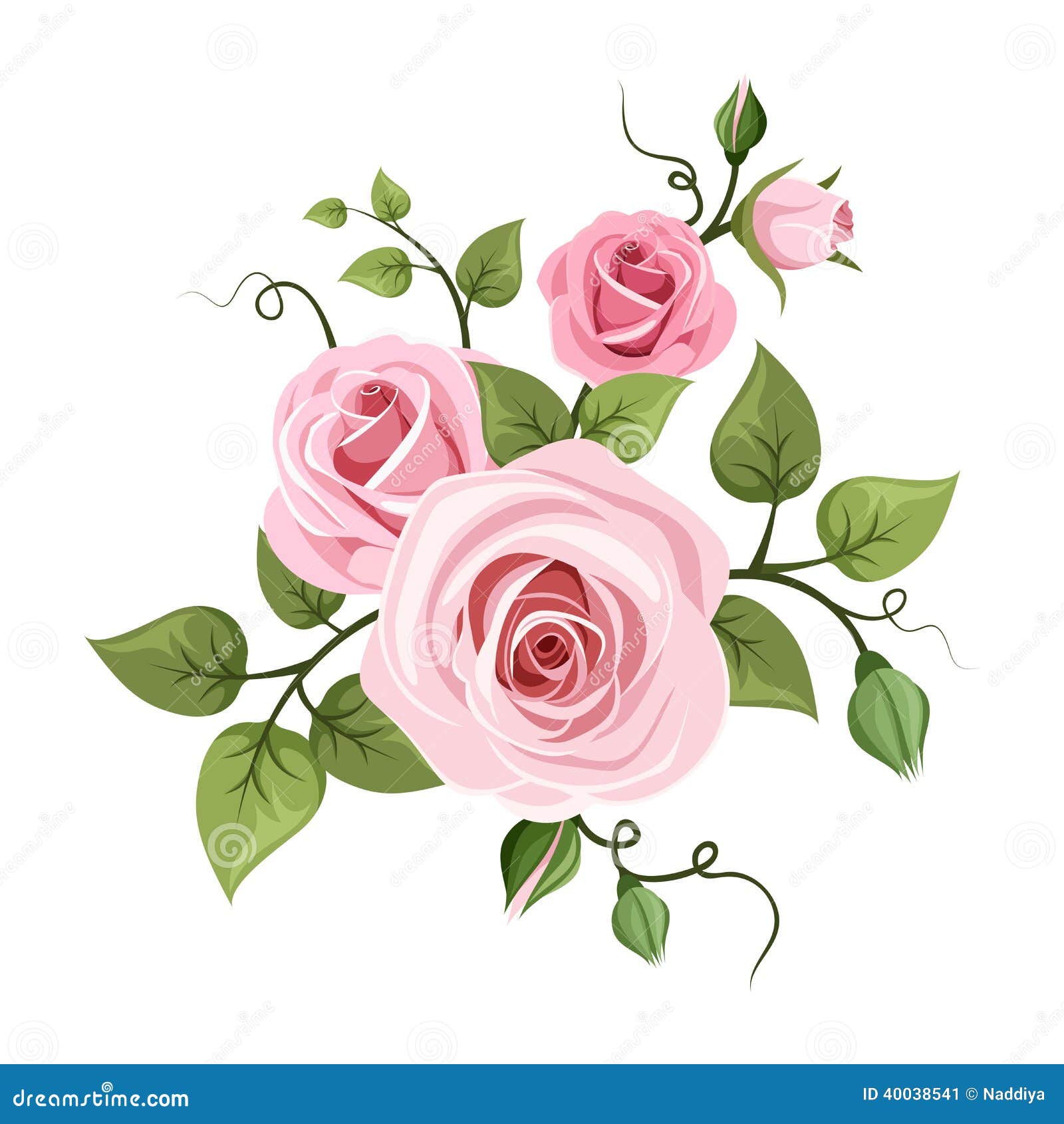 Pink Roses Vector Illustration Stock Vector Image 40038541