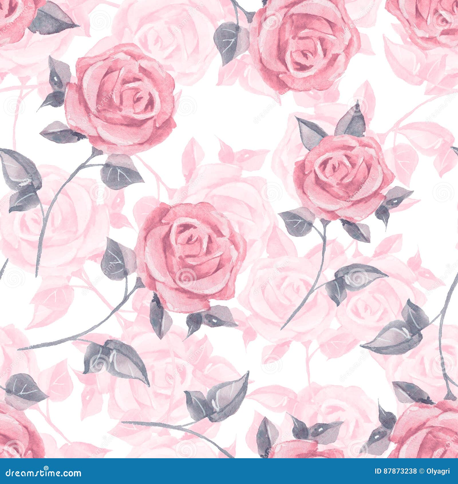 Pink Roses. Watercolor Floral Seamless Pattern 19 Stock Illustration ...