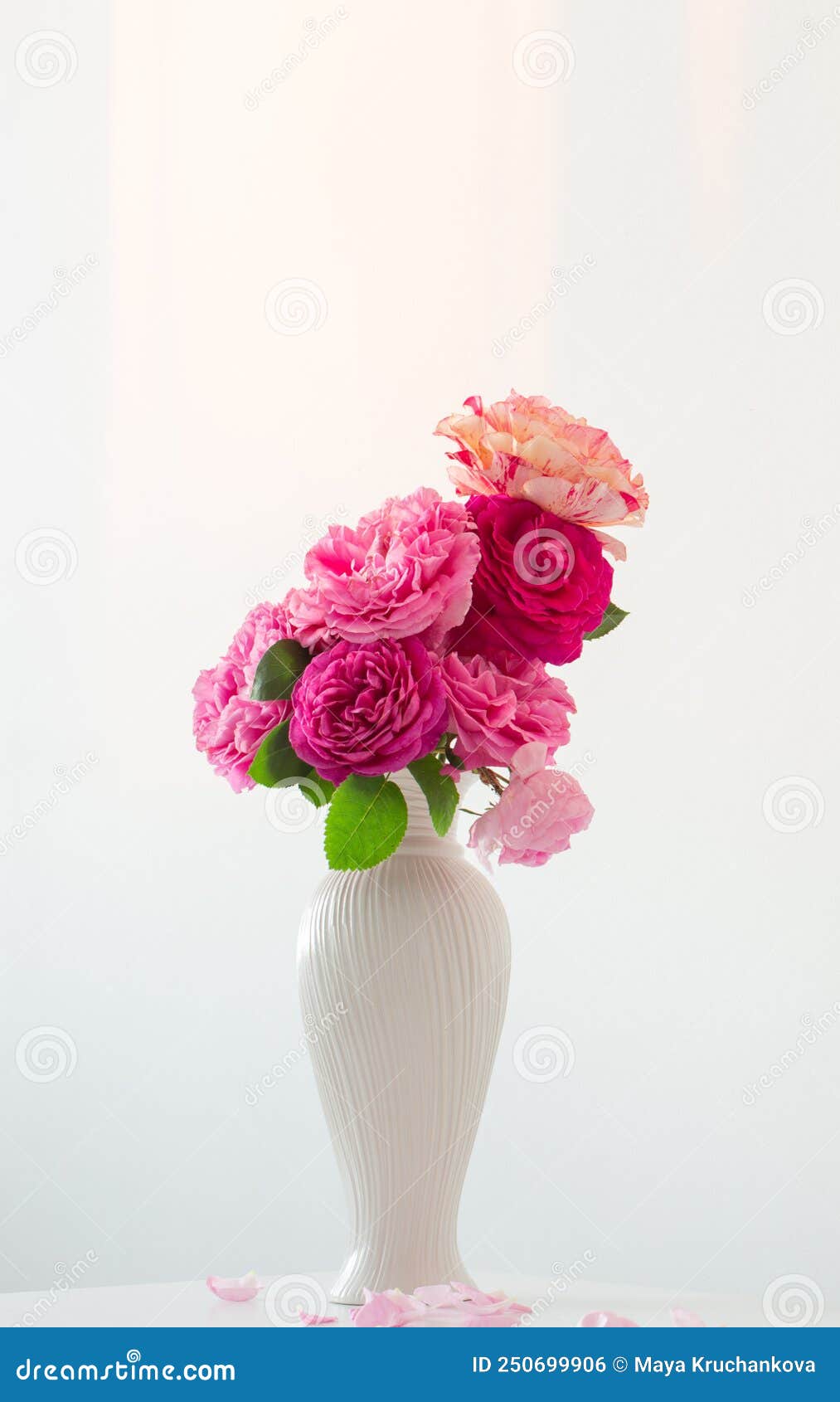 Roses in White Vase on Table on Background White Wall Stock Photo ...