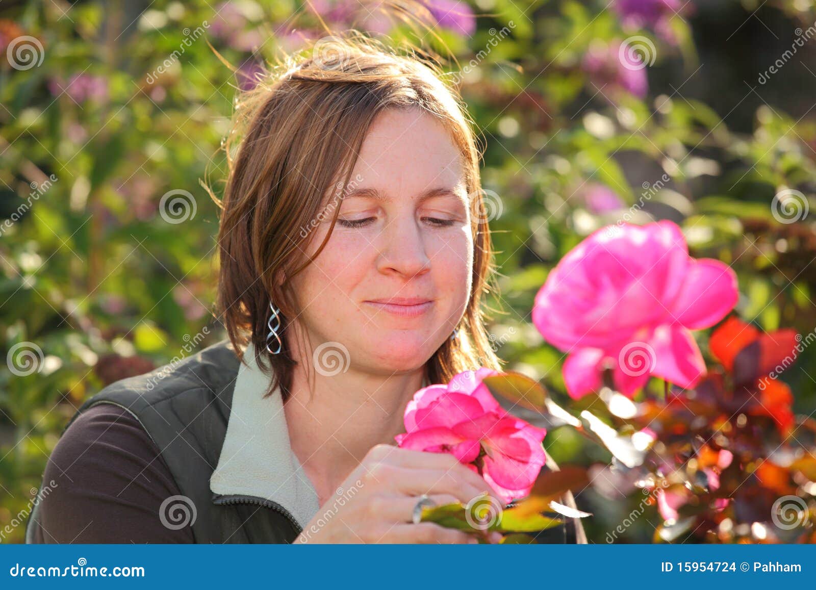 Pink roses and a woman stock photo. Image of beautiful - 15954724
