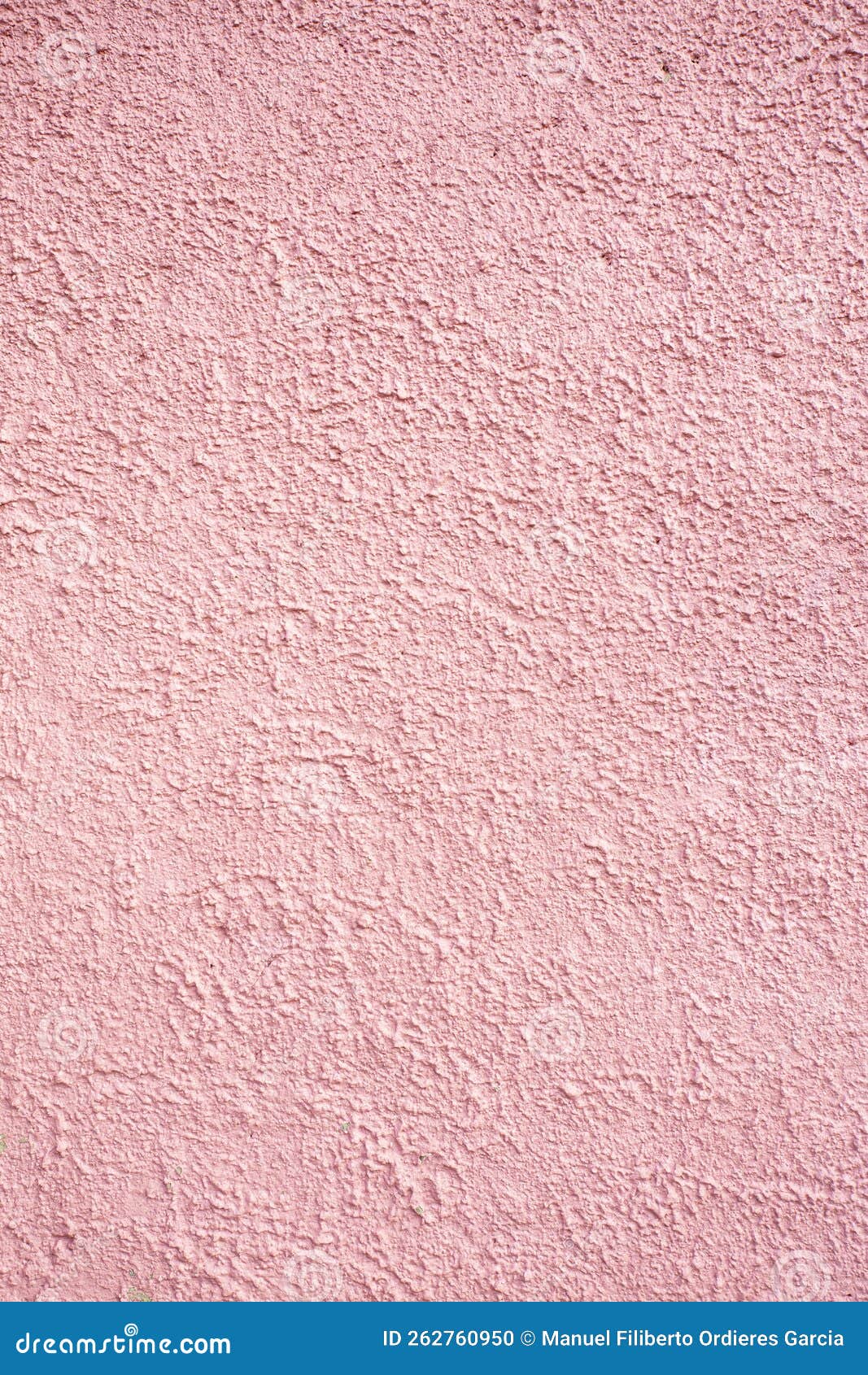 Pink rough texture. stucco stock photo. Image of hard - 262760950