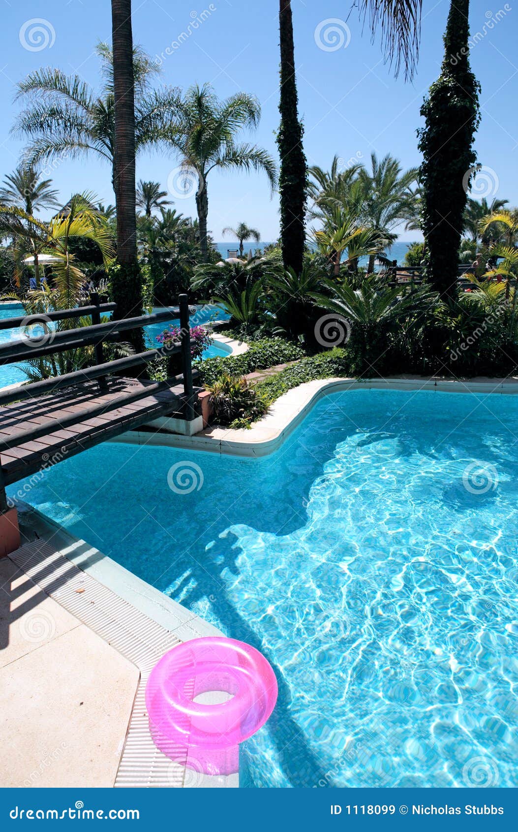 Pink Rubber Ring Next To Luxury Swimming Pool Stock Image - Image of ...