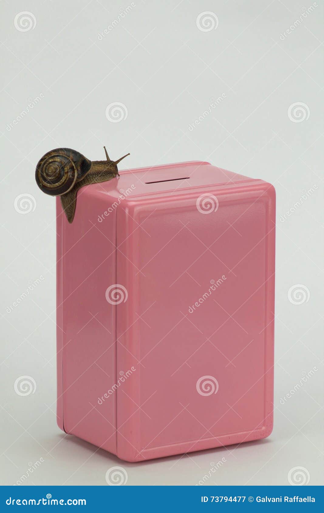Pink Safe Money Box with Big Snail on the Top Stock Image - Image of ...