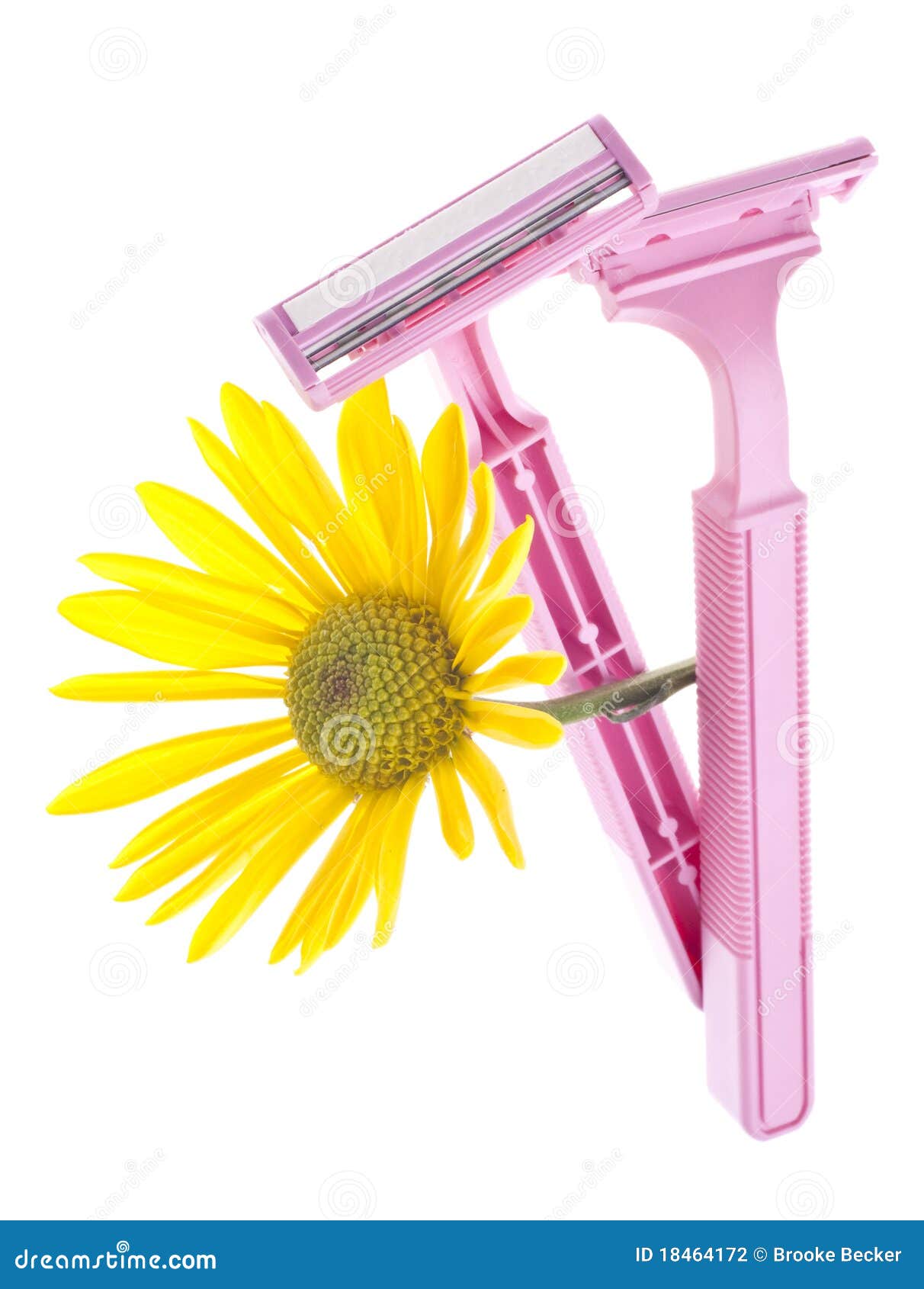Pink Safety Razors with Daisy Stock Photo - Image of safety, object ...