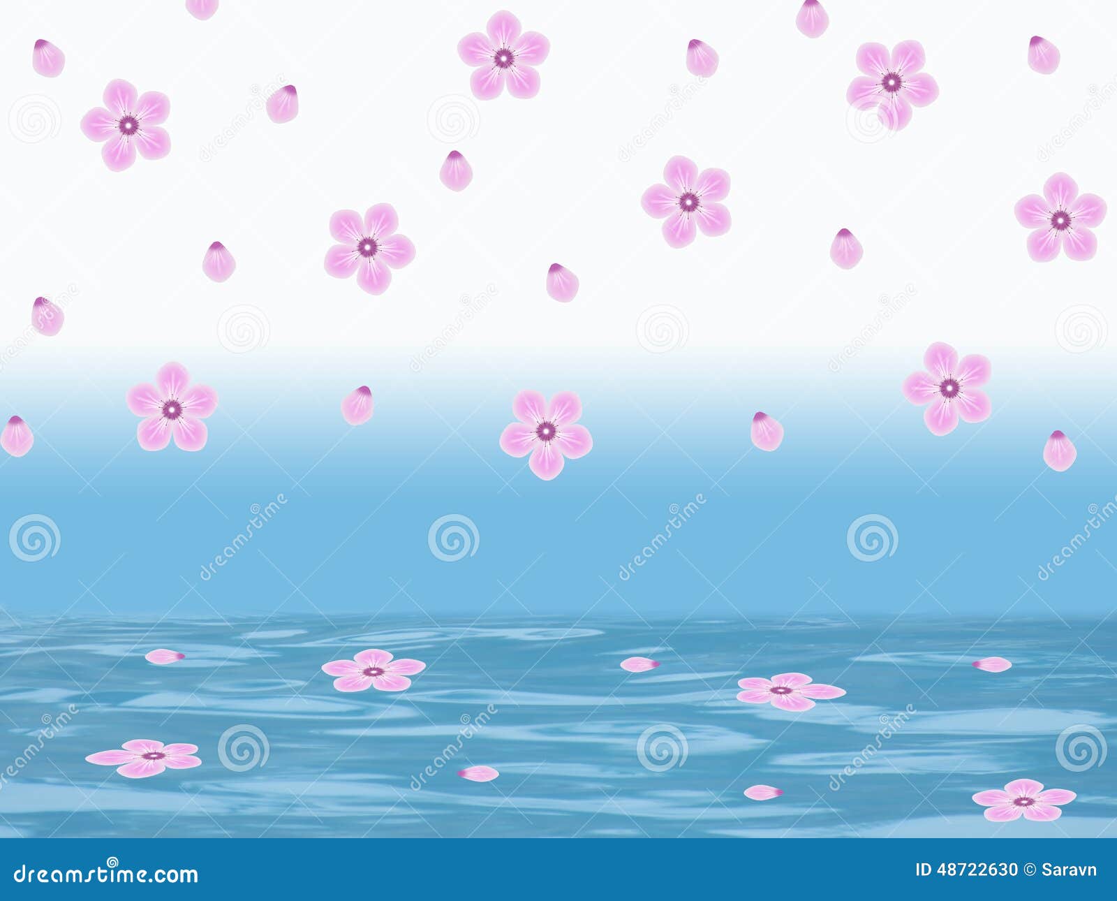 Pink Sakura Cherry Blossom Falling Into Water Spring Illustration White ...