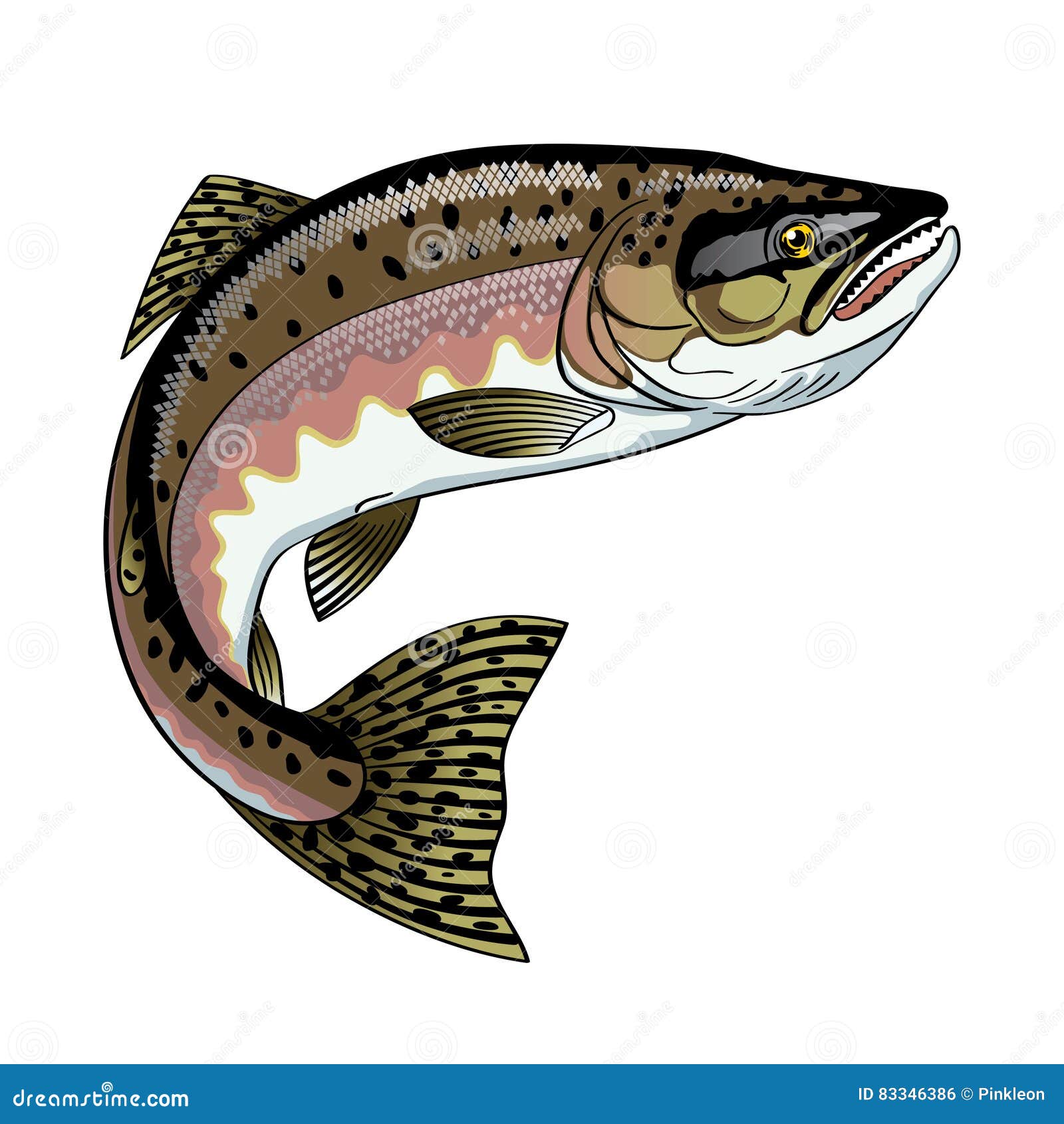 Pink Salmon stock vector. Illustration of ocean, pink - 83346386