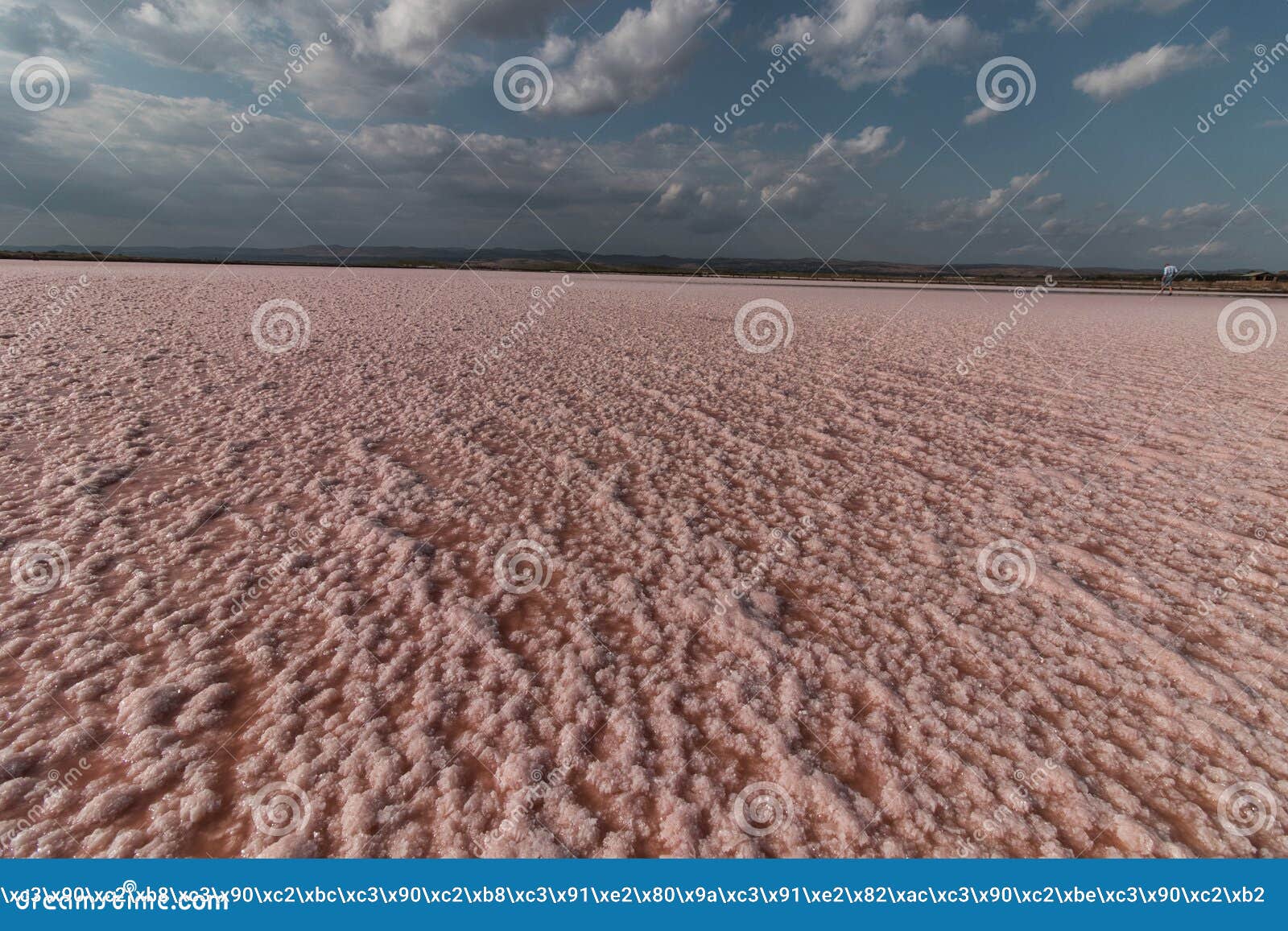Pink salt stock image. Image of salt, landscape, water - 76725121
