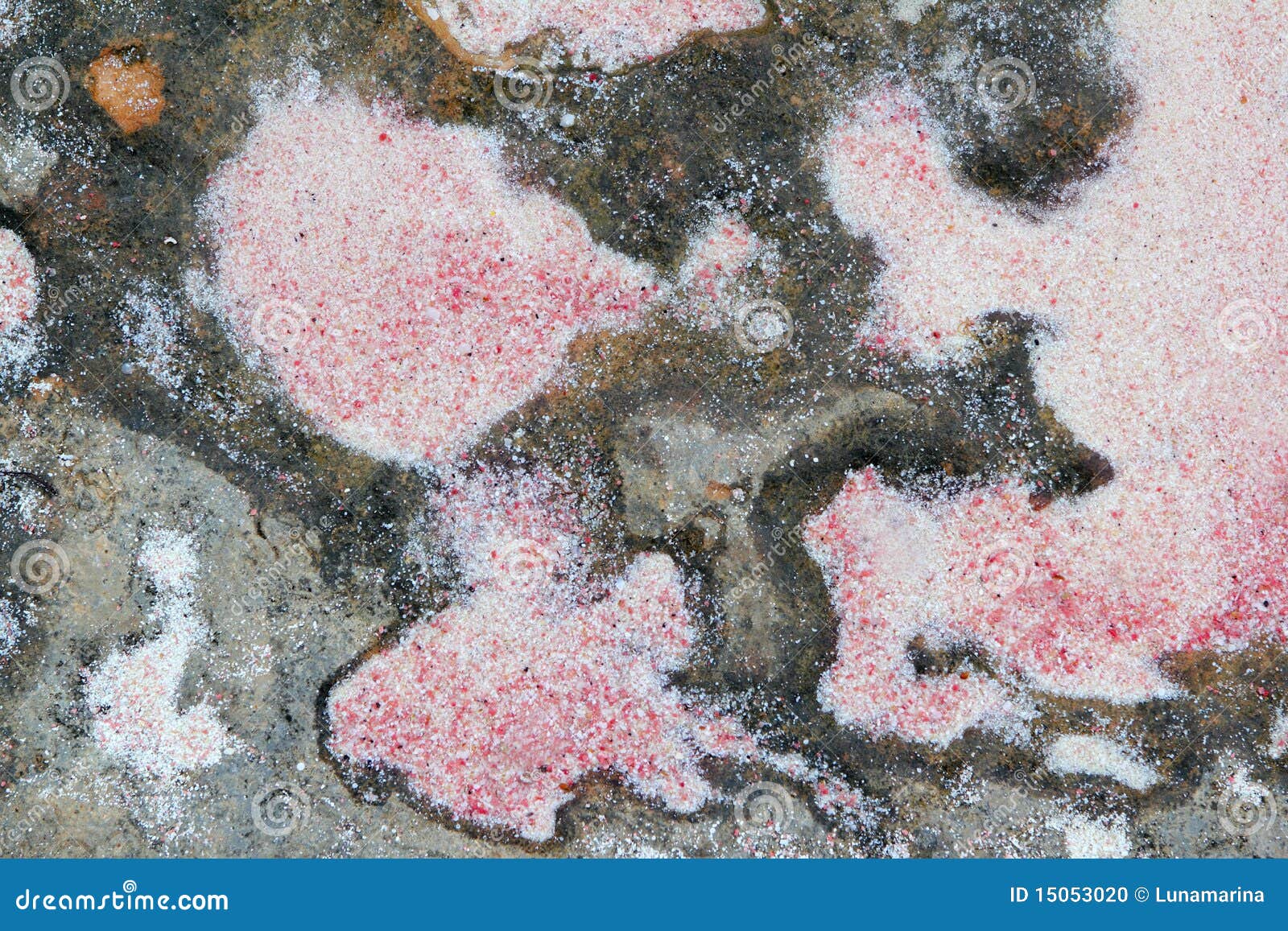 Pink Sand Texture Over Rock in Formentera Beach Stock Photo - Image of ...