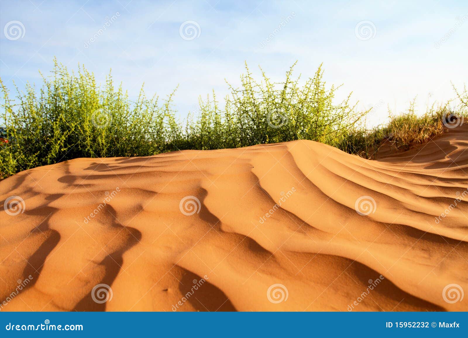 Pink sands in Arizona stock photo. Image of beautiful - 15952232