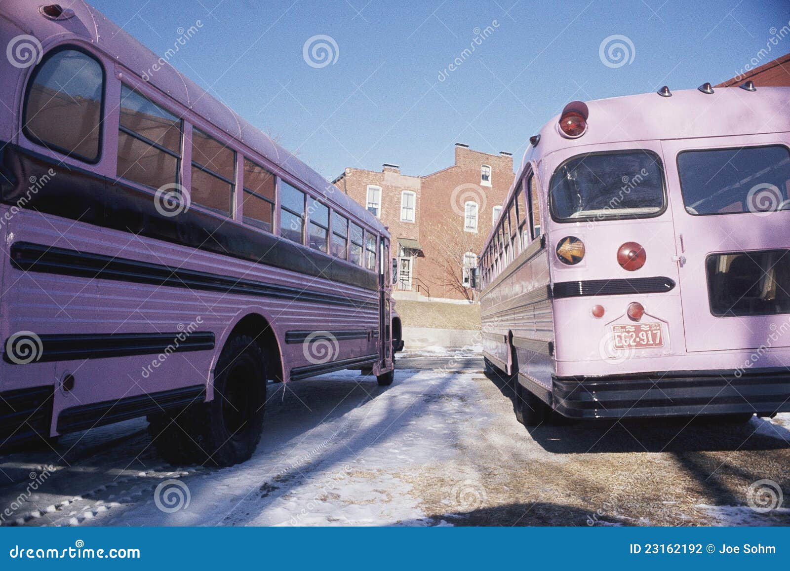 Pink school buses editorial photography. Image of parked - 23162192