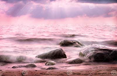 Pink Sea stock photo. Image of coastal, holiday, caribbean - 49184