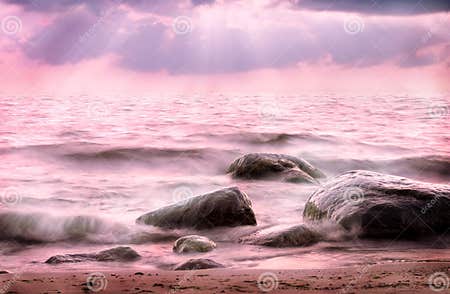 Pink Sea stock photo. Image of coastal, holiday, caribbean - 49184