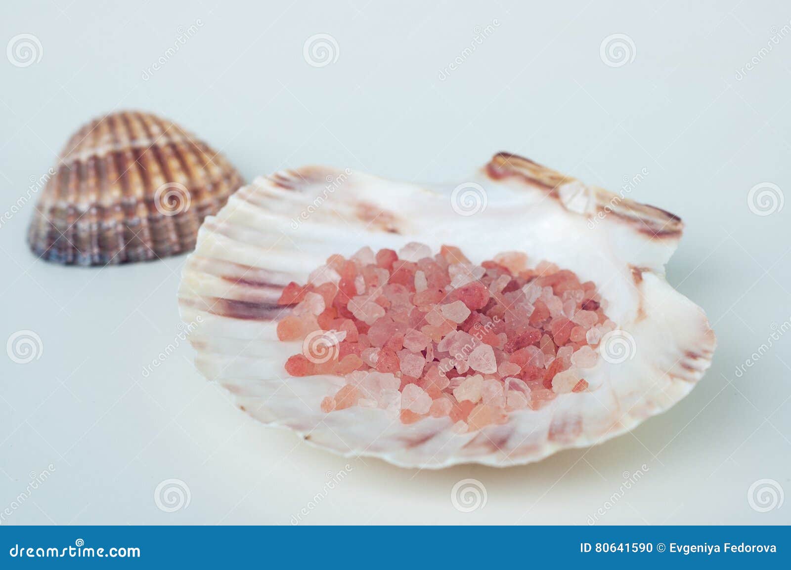 Pink Sea Bath Salt in a White Sea Shell with Another in the Background ...