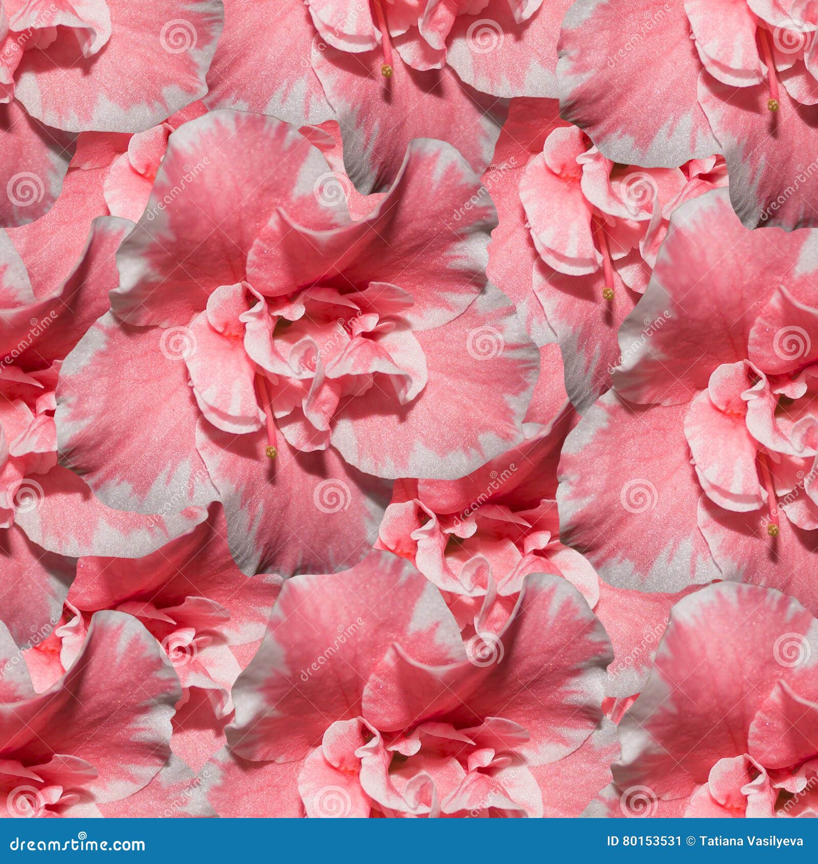 Pink Seamless Background with Azaleas Stock Image - Image of bright ...