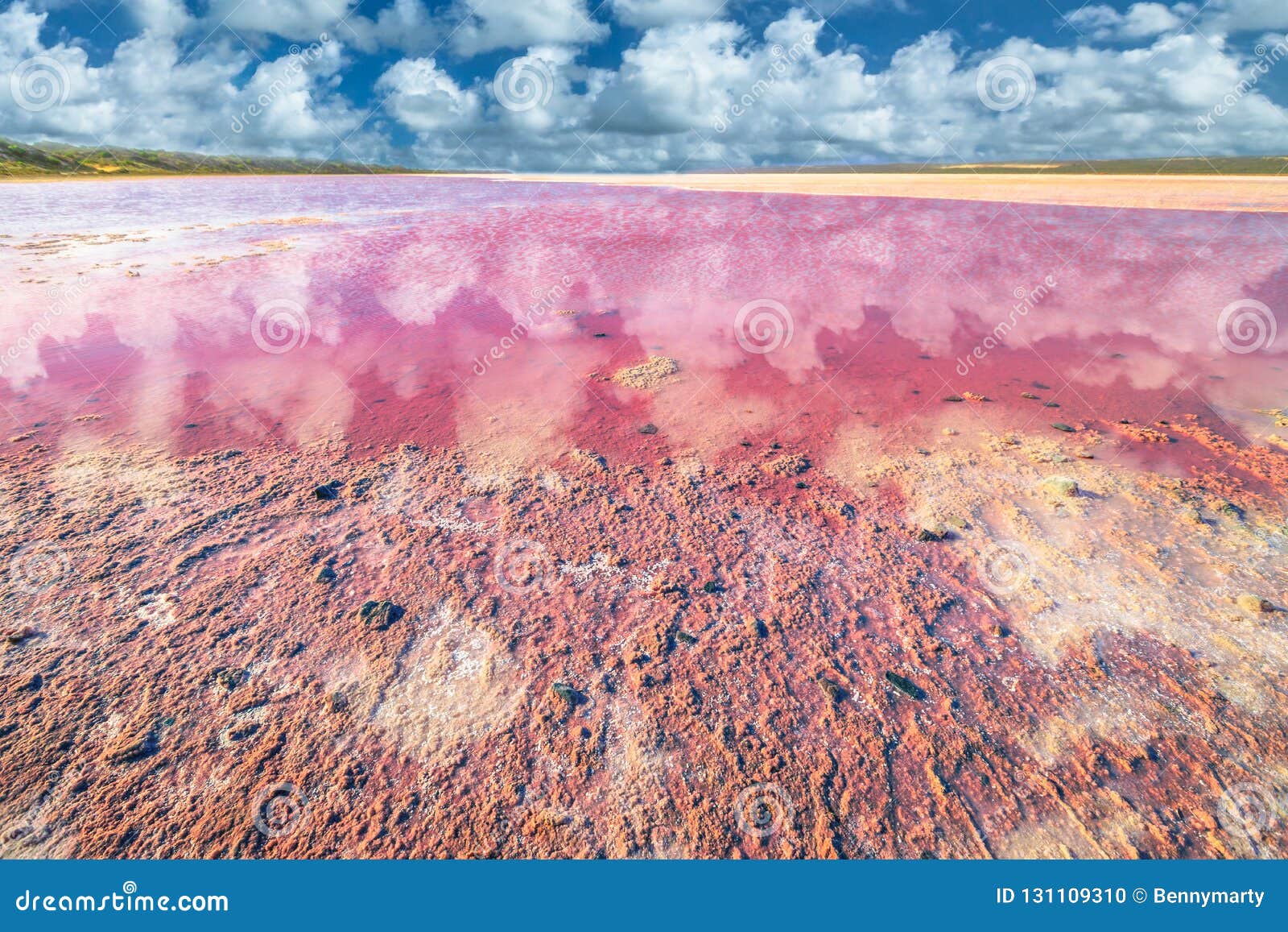 Pink See West-Australien stockfoto. Bild von pigmente - 131109310