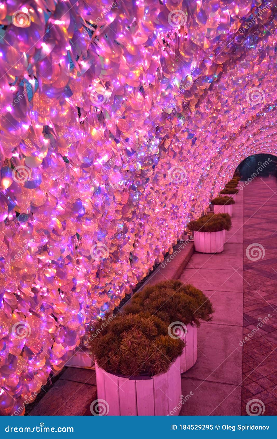 Pink Sequins, Closeup Sequins, Pink Sparkles Stock Image - Image of ...