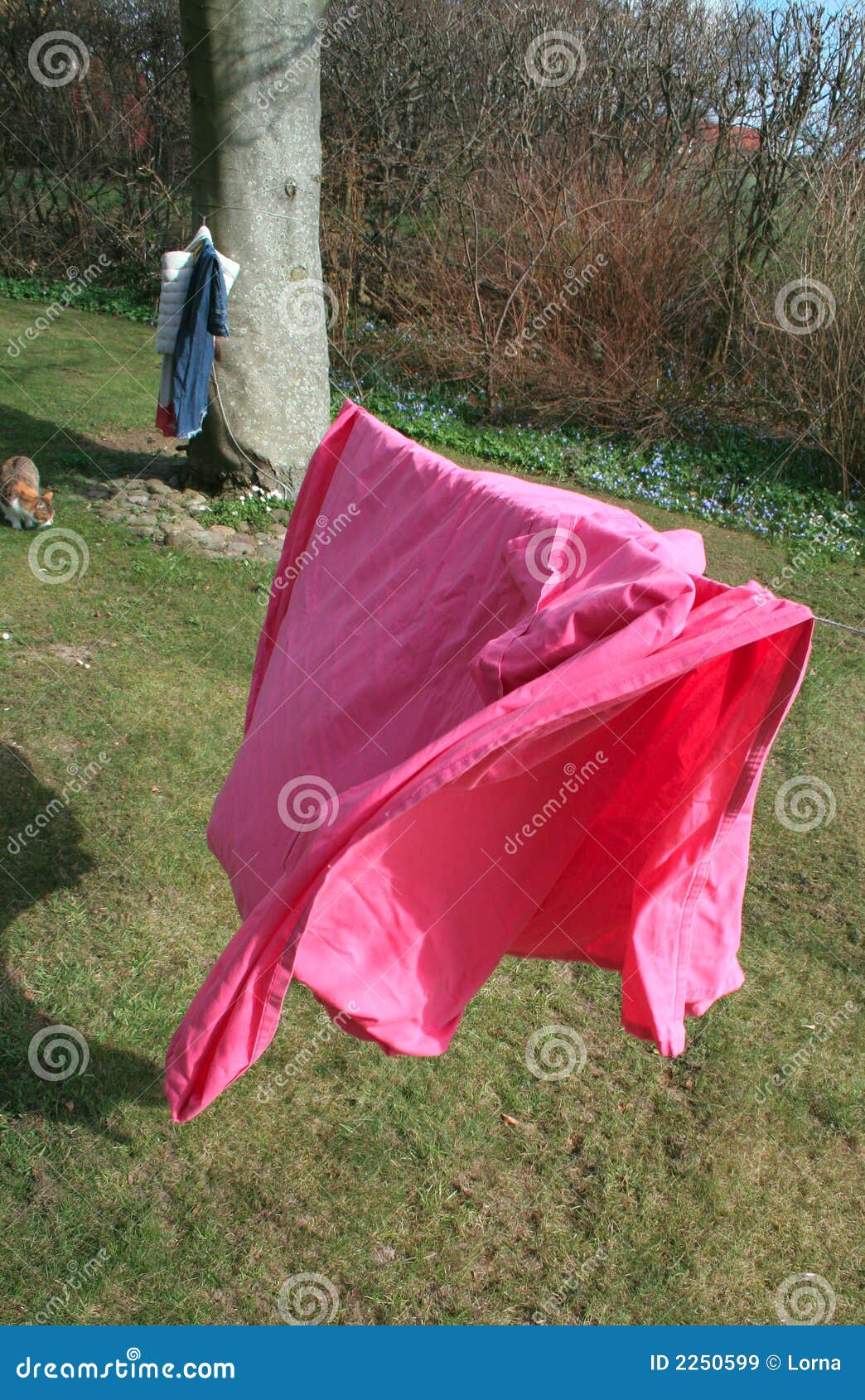 Pink Sheet Drying stock image. Image of outside, tree - 2250599