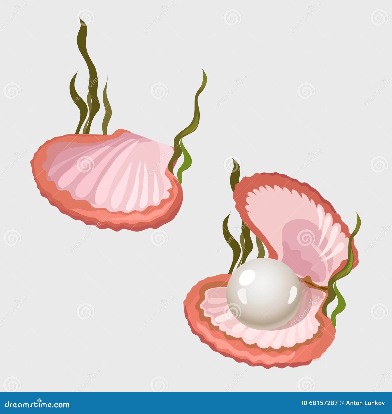 Pink Shell-scallop With A Pearl - Vector Full Color Picture. Clam With ...
