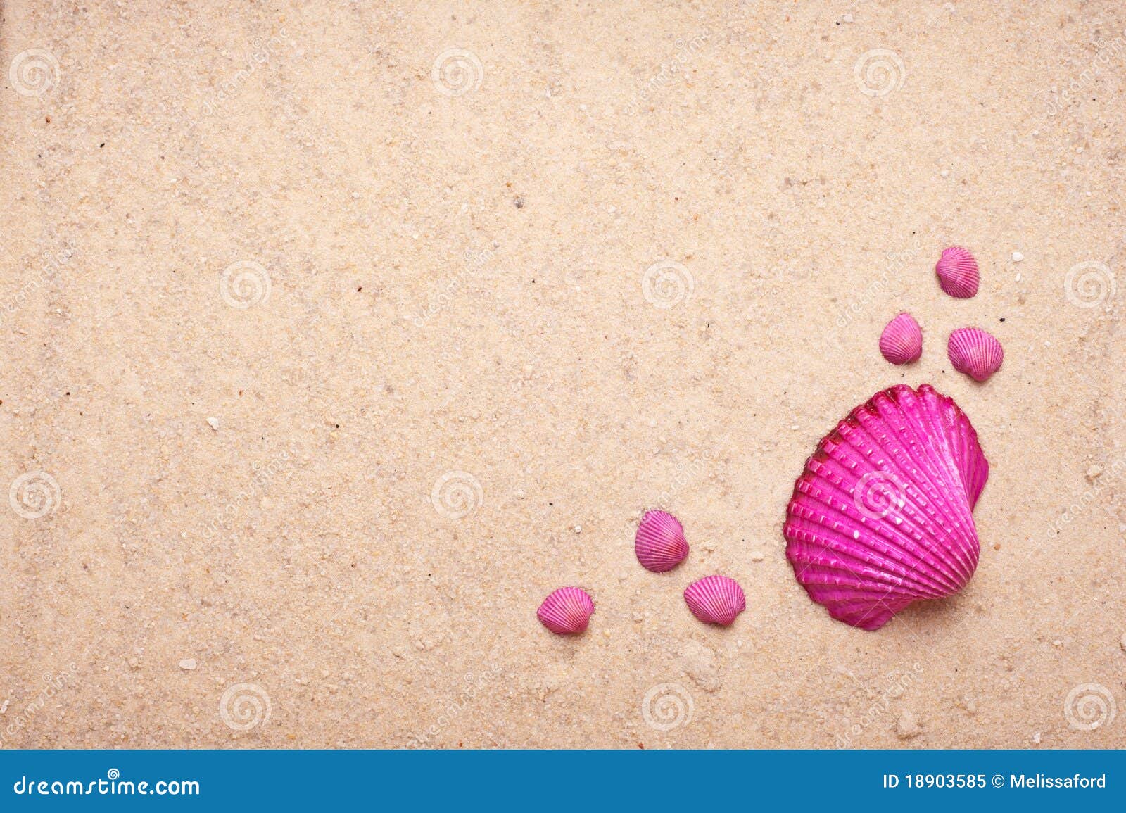 Pink Shell and Sand Background Stock Image - Image of grained, pink ...