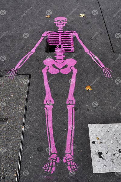 Pink skeleton editorial stock image. Image of bone, texture - 20910814