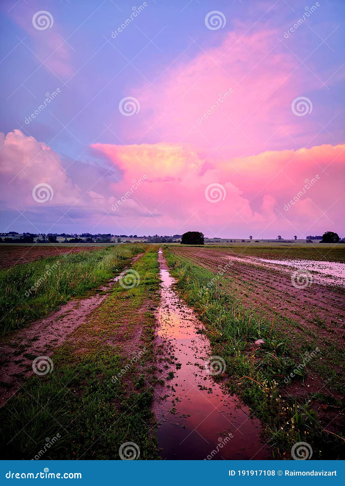 Pink sky after a storm stock photo. Image of fields - 191917108