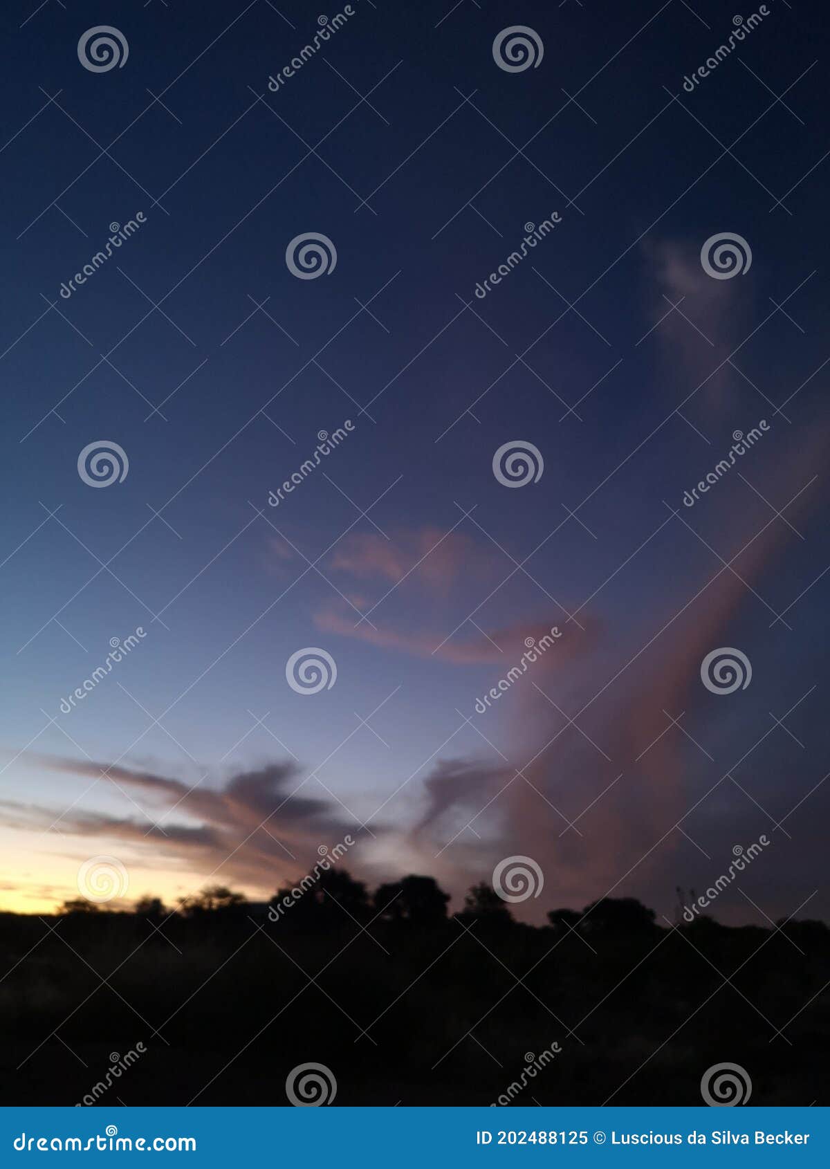Pink Sky Clouds Trees Plaas Namibia Stock Image - Image of pink ...
