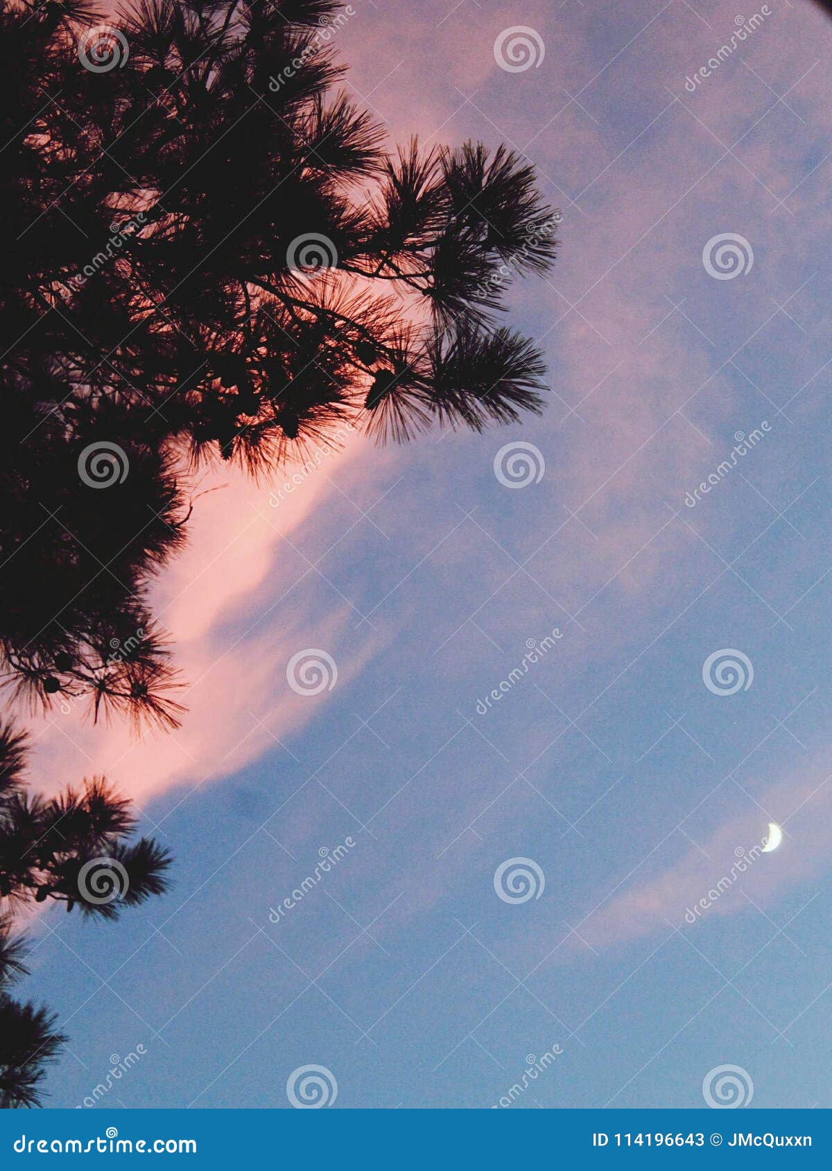 Pink sky crested moon stock image. Image of crested - 114196643