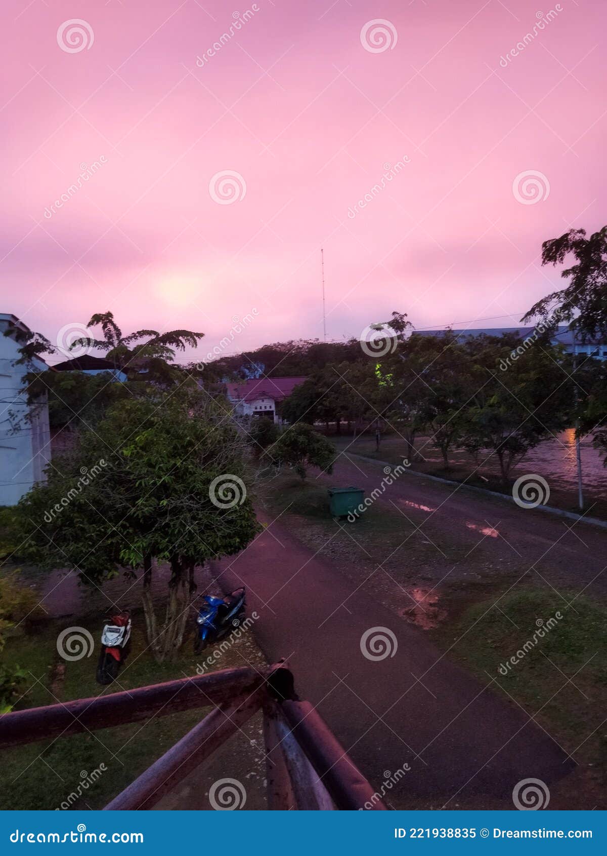 Pink sky with random view stock image. Image of plant - 221938835