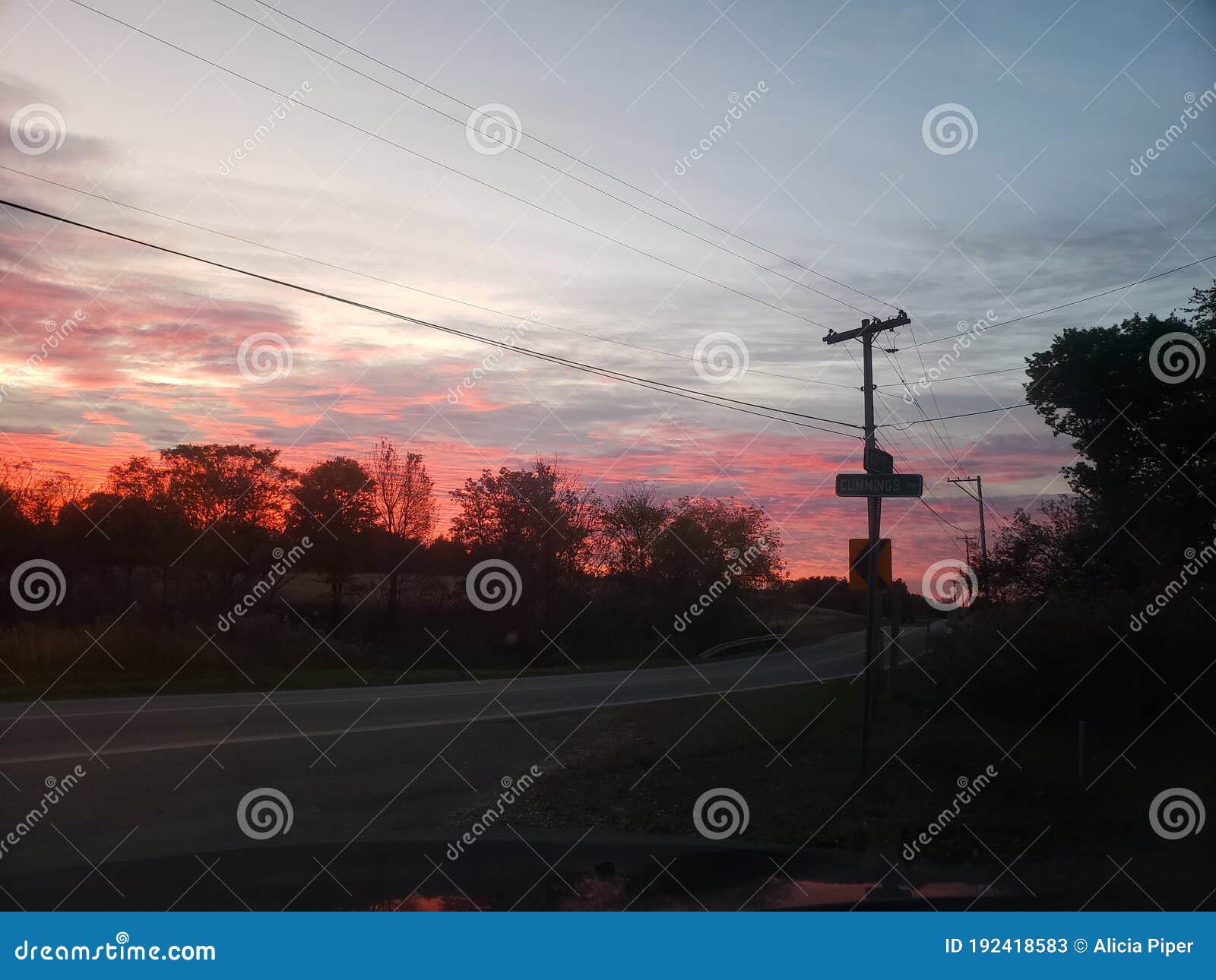 Pink, Sky, Sunrise, Clouds, Trees Stock Image - Image of line, morning ...