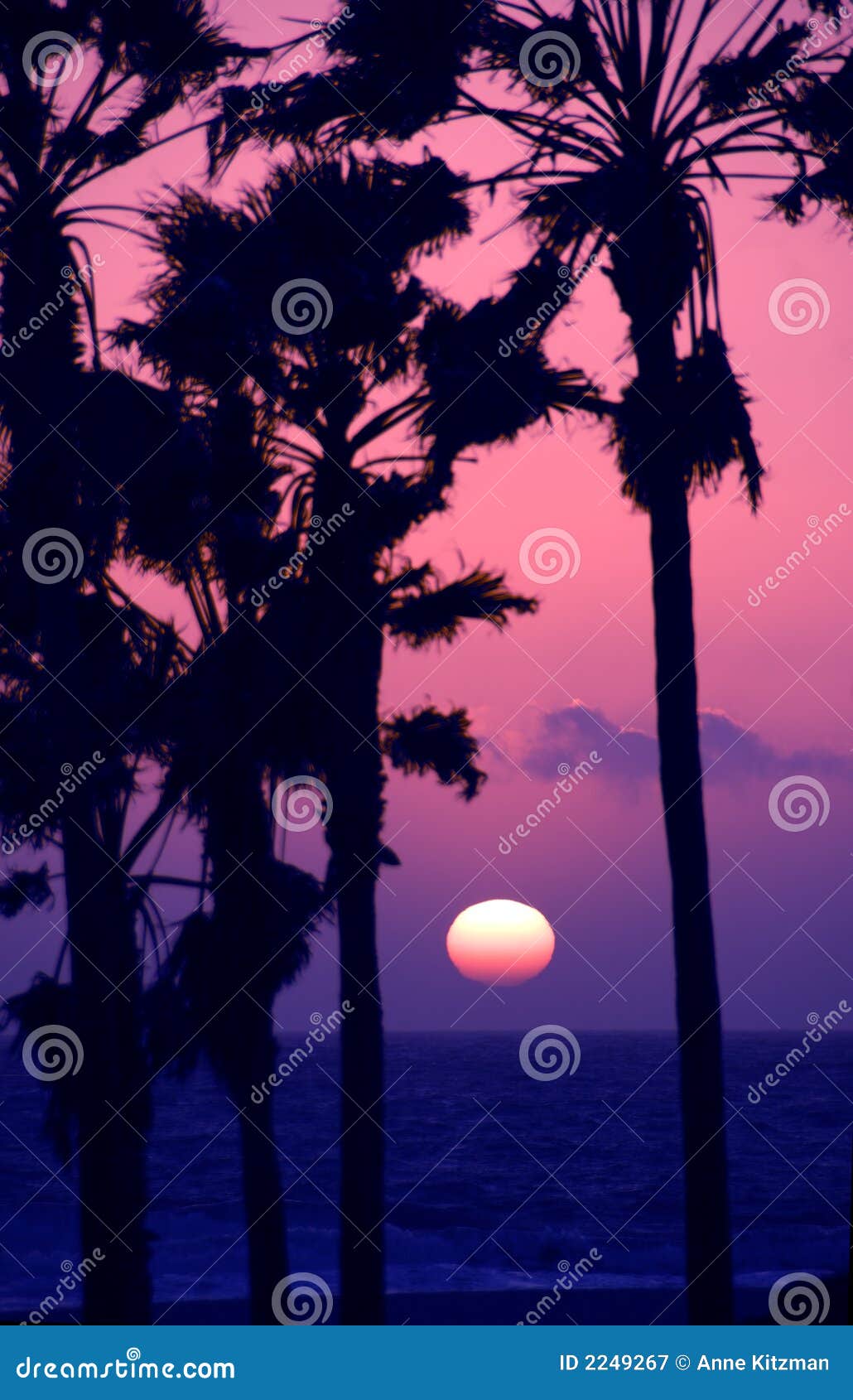 Pink Sky Sunset stock image. Image of california, copy - 2249267