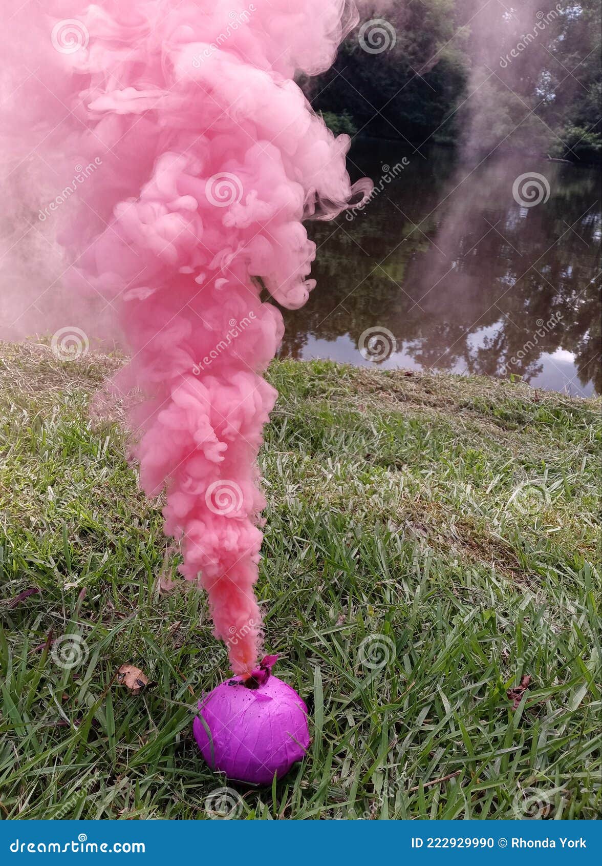 Pink Smoke Bomb by pond stock photo. Image of smoke - 222929990