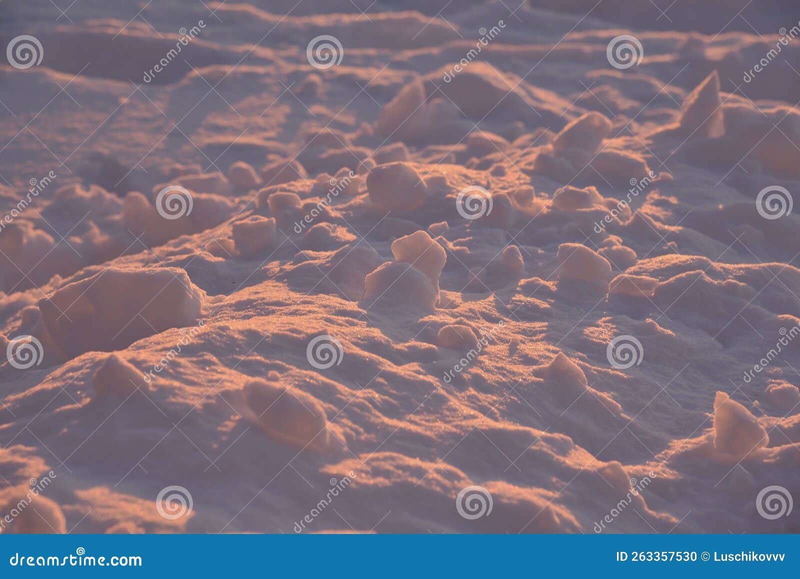 Pink Snow Winters in the Light of the Setting Sun. Pink and Blue Winter ...