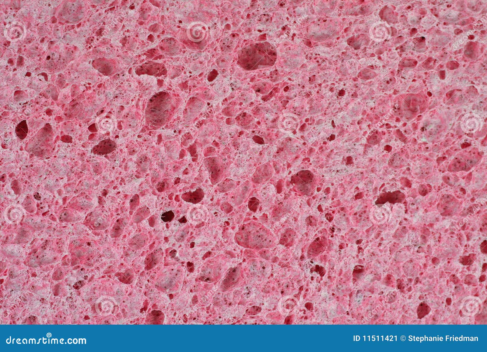 Pink Sponge stock image. Image of froth, hole, background - 11511421