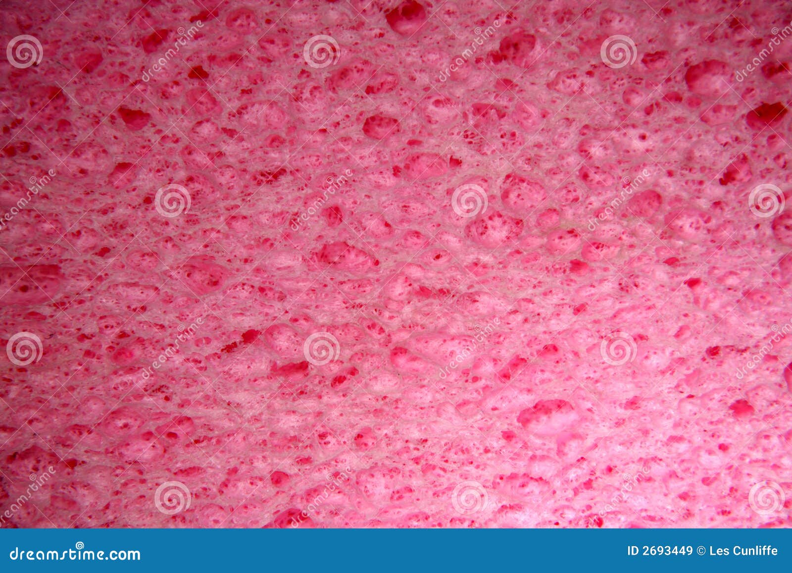 Pink sponge stock image. Image of sponge, texture, supply - 2693449