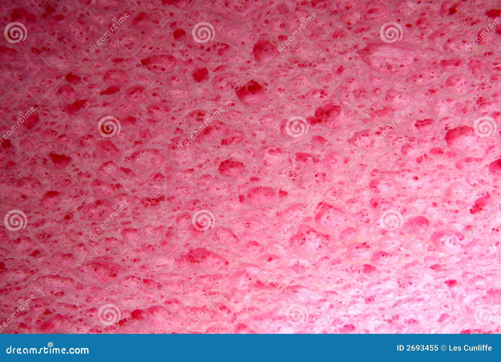 Pink sponge stock image. Image of bumpy, porous, rough - 2693455