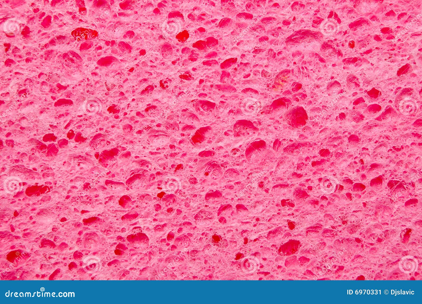 Pink Sponge Stock Image - Image: 6970331