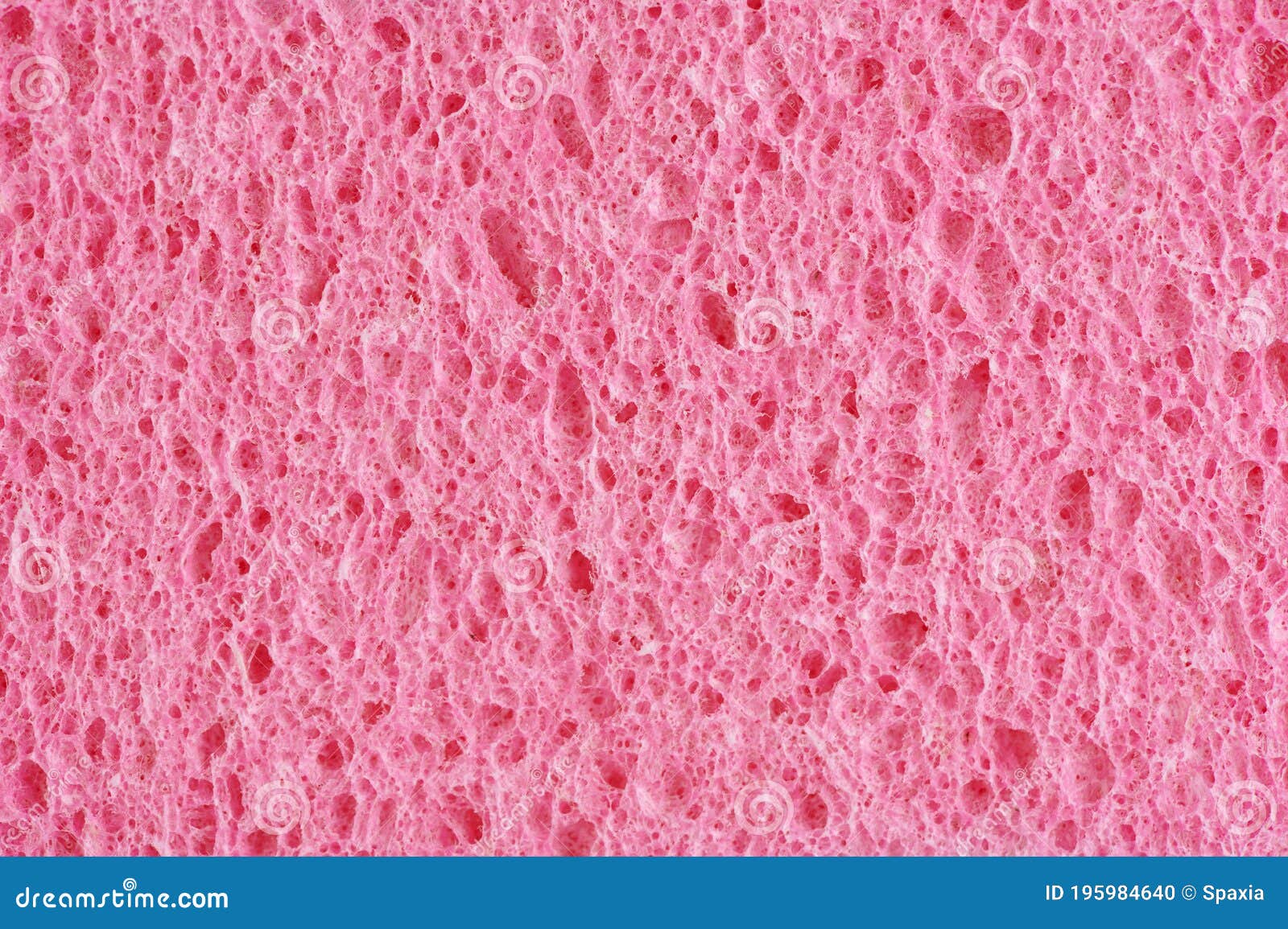 Pink Sponge Detail Texture Background Stock Photo - Image of white ...