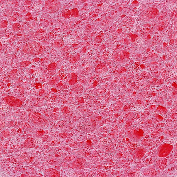 Pink Sponge Texture for Background Stock Image - Image of color ...
