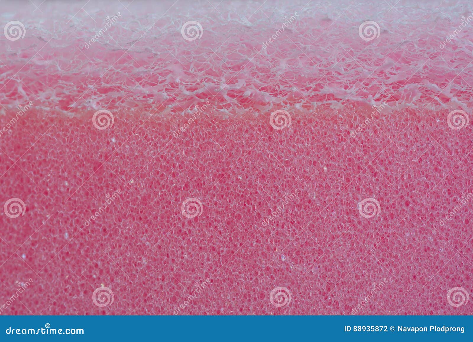 Pink Sponge Texture Background Stock Photo - Image of beauty, level ...