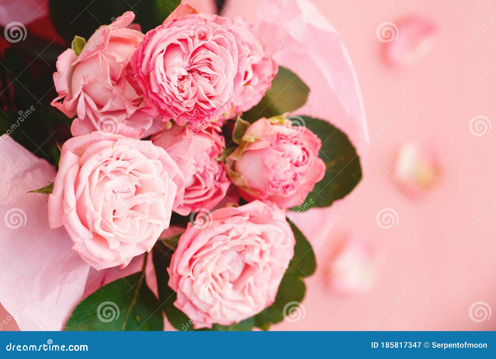 Pink spray roses bouquet stock image. Image of florist - 185817347