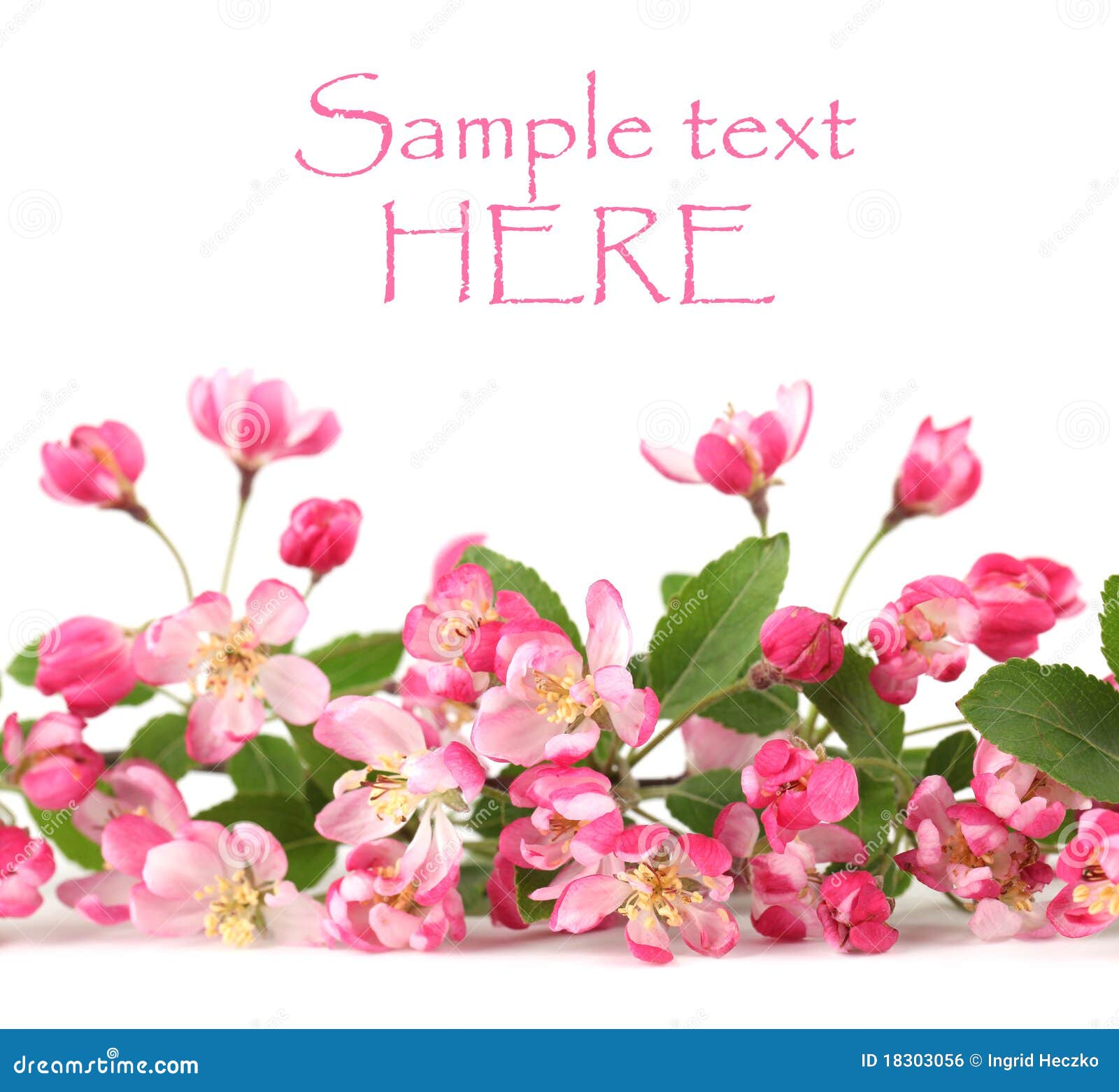 49,018 Pink Spring Flower Border Photos - Free & Royalty-Free Stock ...