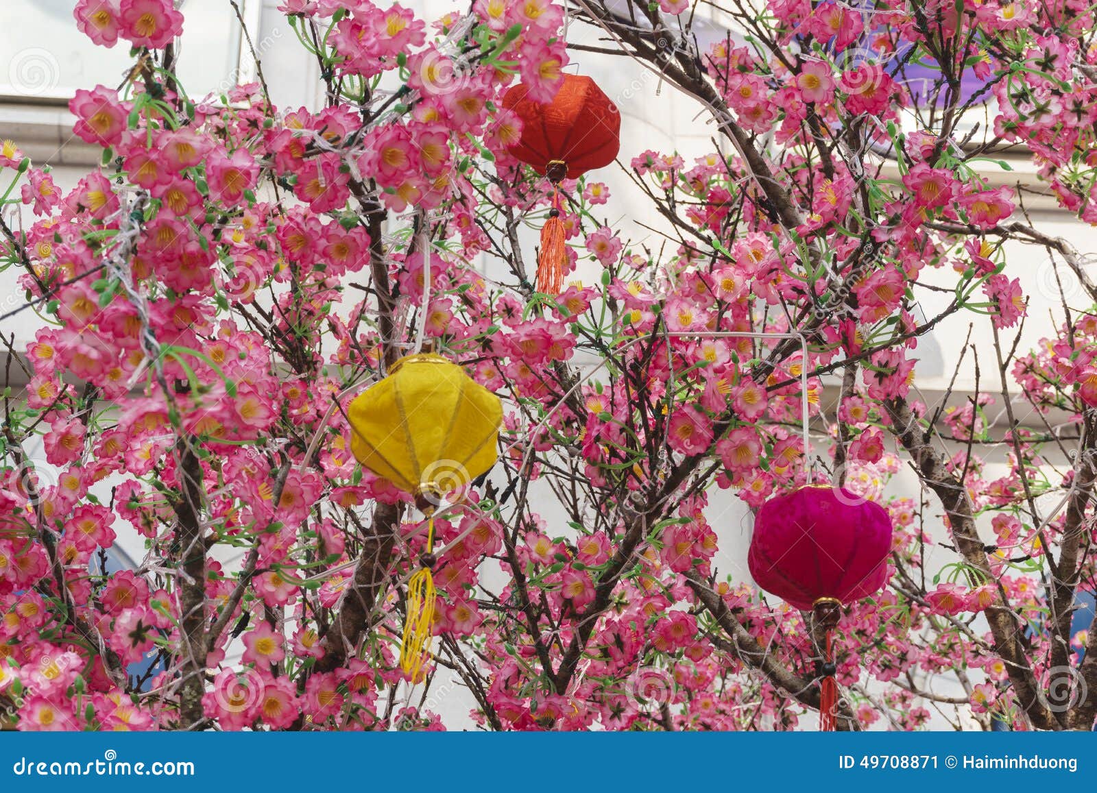 Pink spring flowers stock image. Image of cherry, happy - 49708871