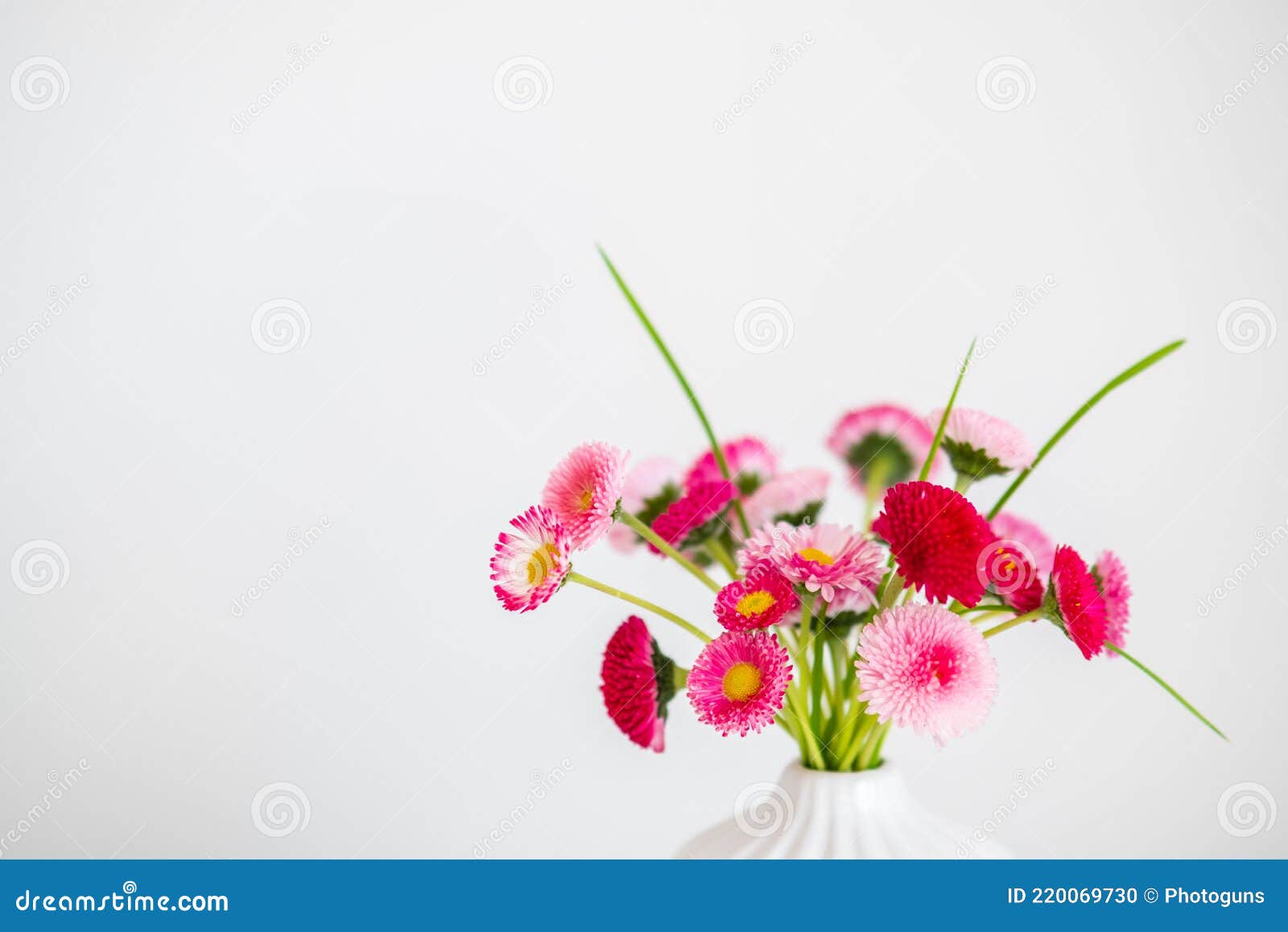 Pink Spring Flowers in Vase on White Background, Closeup View Stock ...
