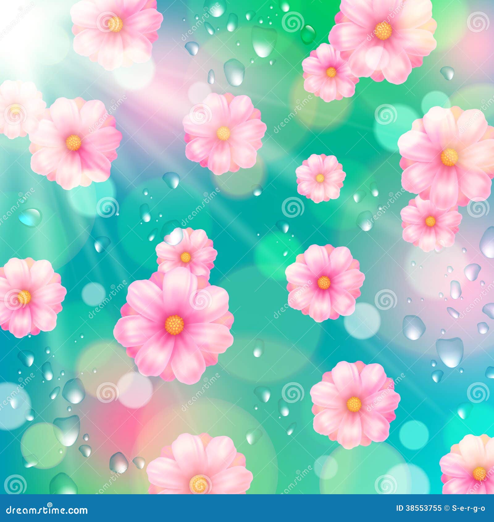 Pink Spring Flowers and Water Drops Stock Illustration - Illustration ...