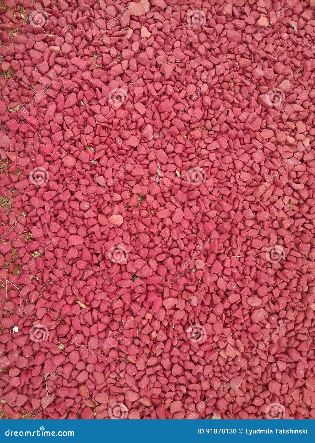 Pink stones stock photo. Image of stones, closeup, park - 91870130